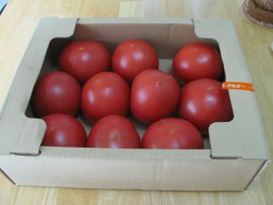 Tomato Challenge: ALL the Tomato Recipes – I'll Make It Myself!