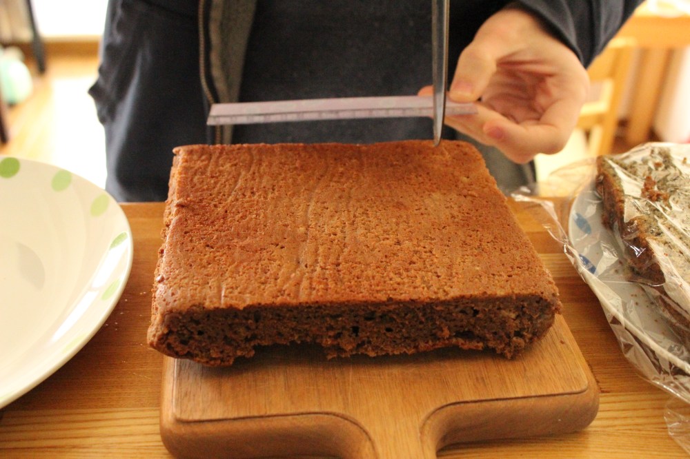 The Minecraft Cake – I'll Make It Myself!