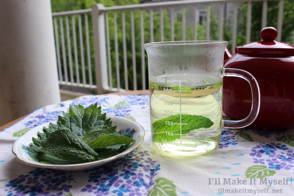 Nettle and Mint Tea – I'll Make It Myself!